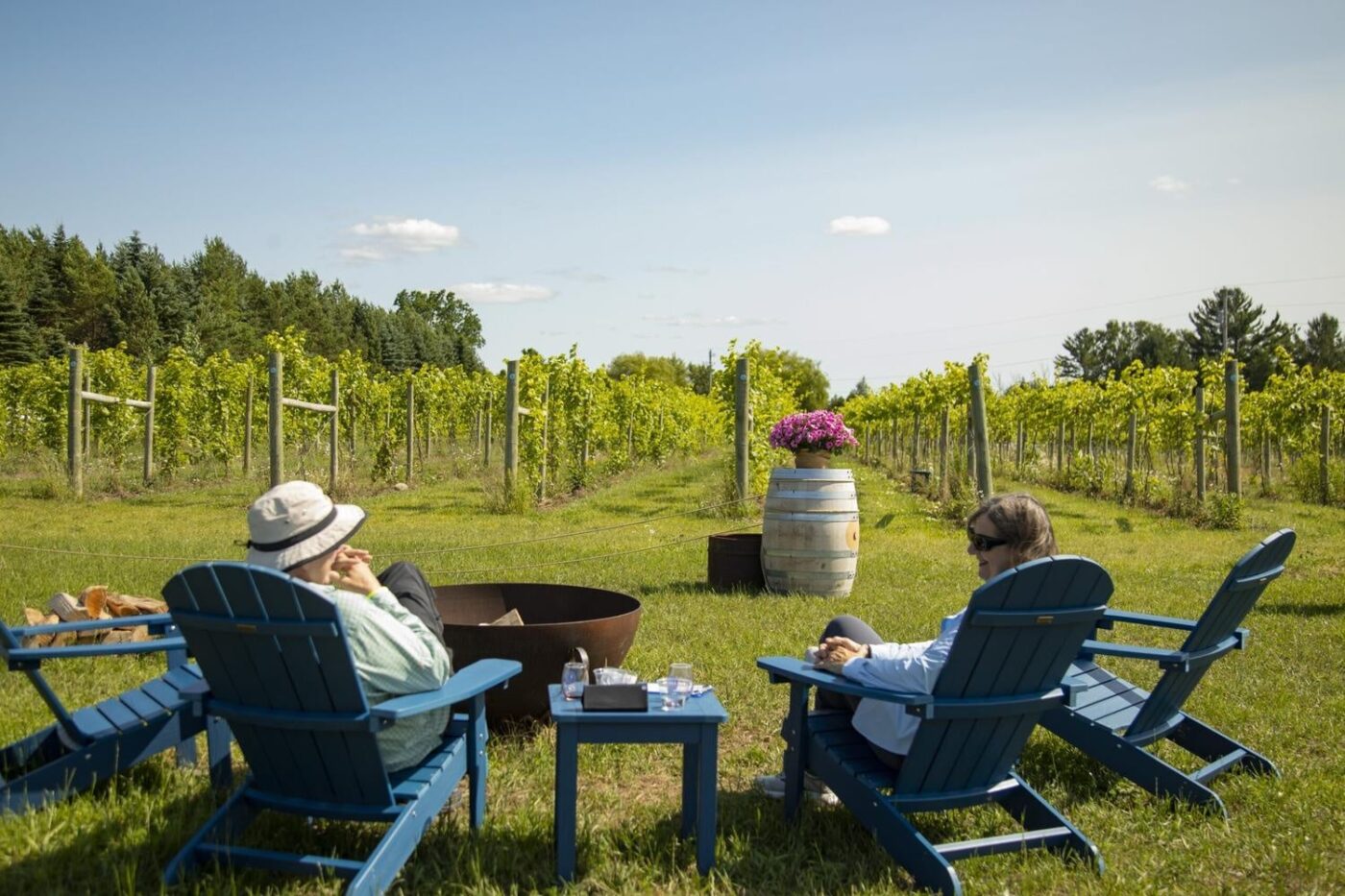 BLU DOT FARM AND VINEYARD | Petoskey Wine Region